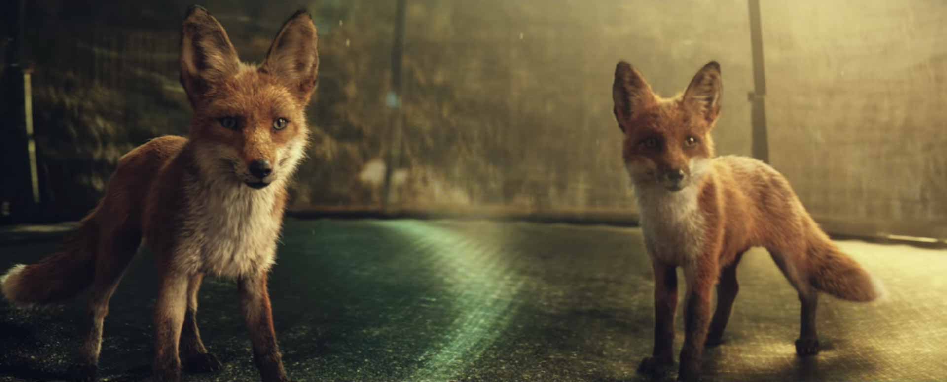 A Gift For Everyone - Buster the Boxer - John Lewis Christmas Advert 2016