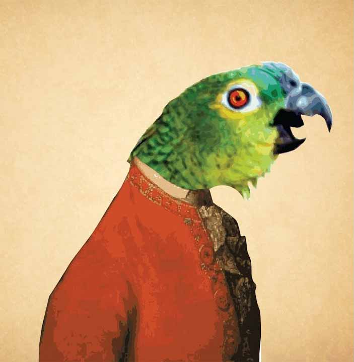 Bird Sings 'Queen of the Night' from Mozart's 'Magic Flute'