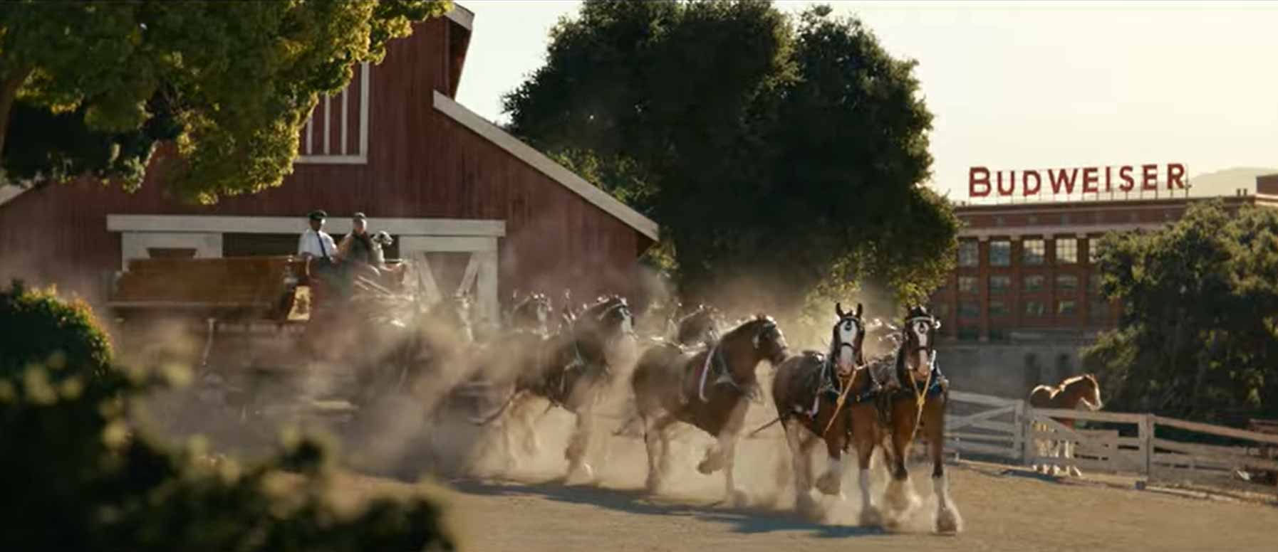 Budweiser Super Bowl 2025: First Delivery – A Clydesdale Tale of ...