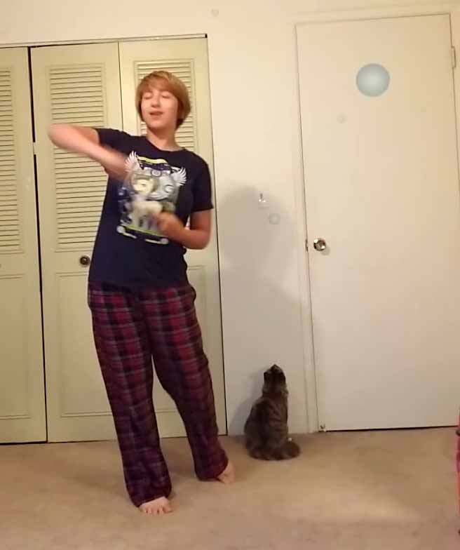 Cat Turns off Lights to Stop ”˜Let It Go”™ Performance