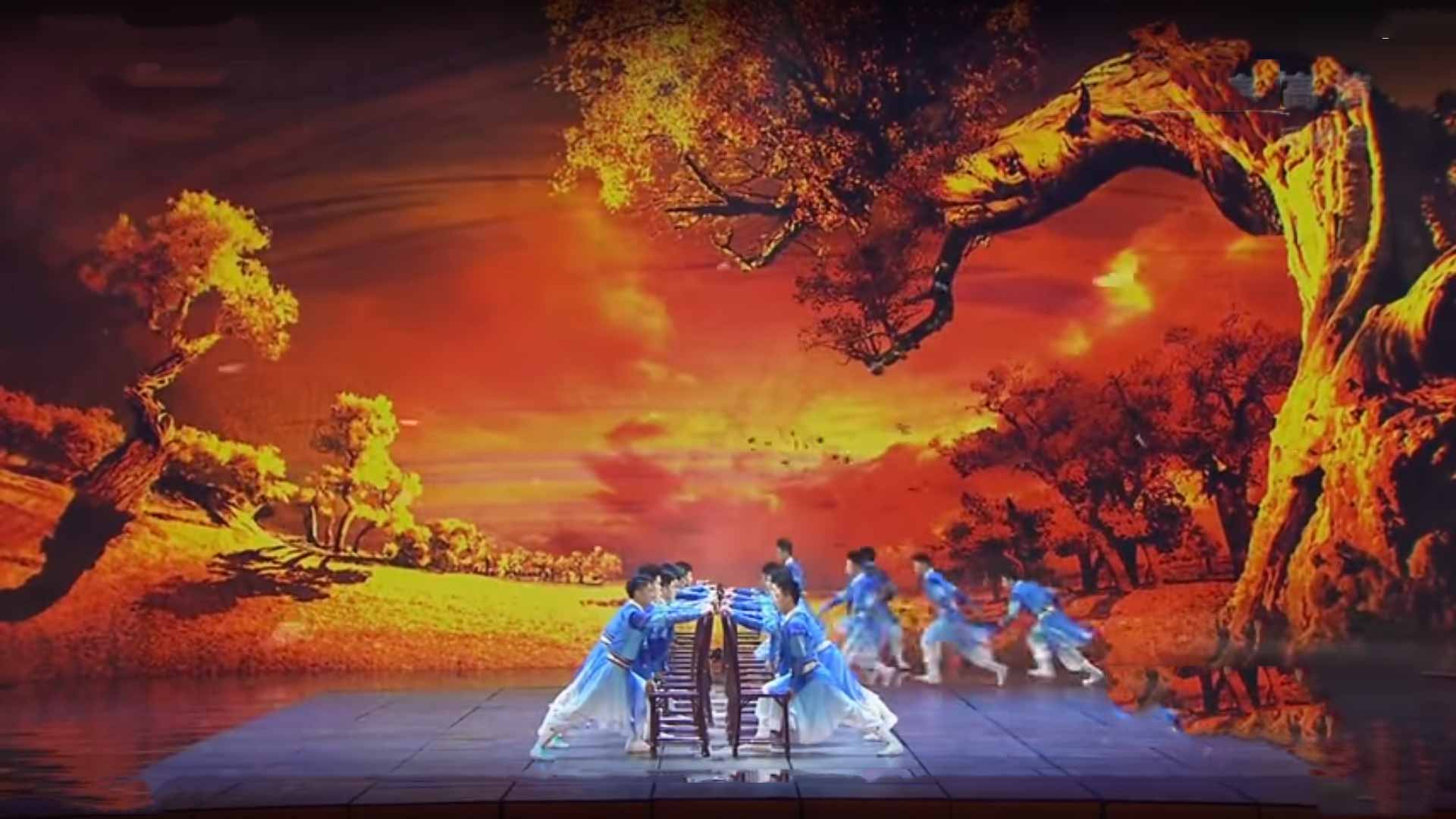 China's Got Amazing Talent