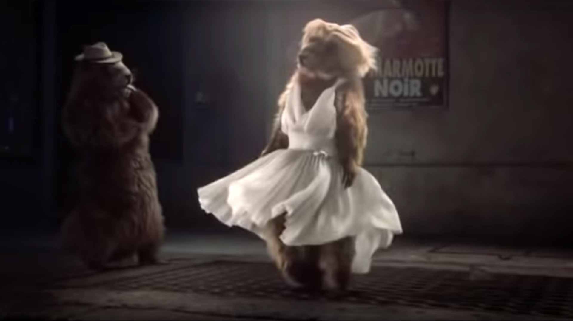 Classic Movie Scenes Starring Marmots