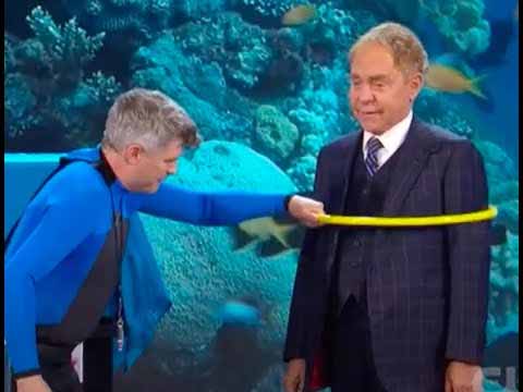 Comedy Magician Jo De Rijck's Mind Reading Dolphin