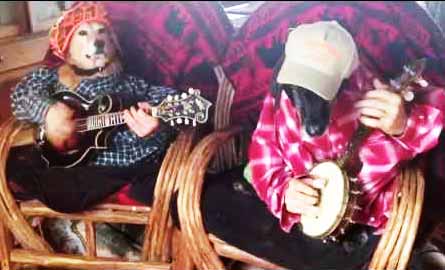 Two Dogs Playing Banjos