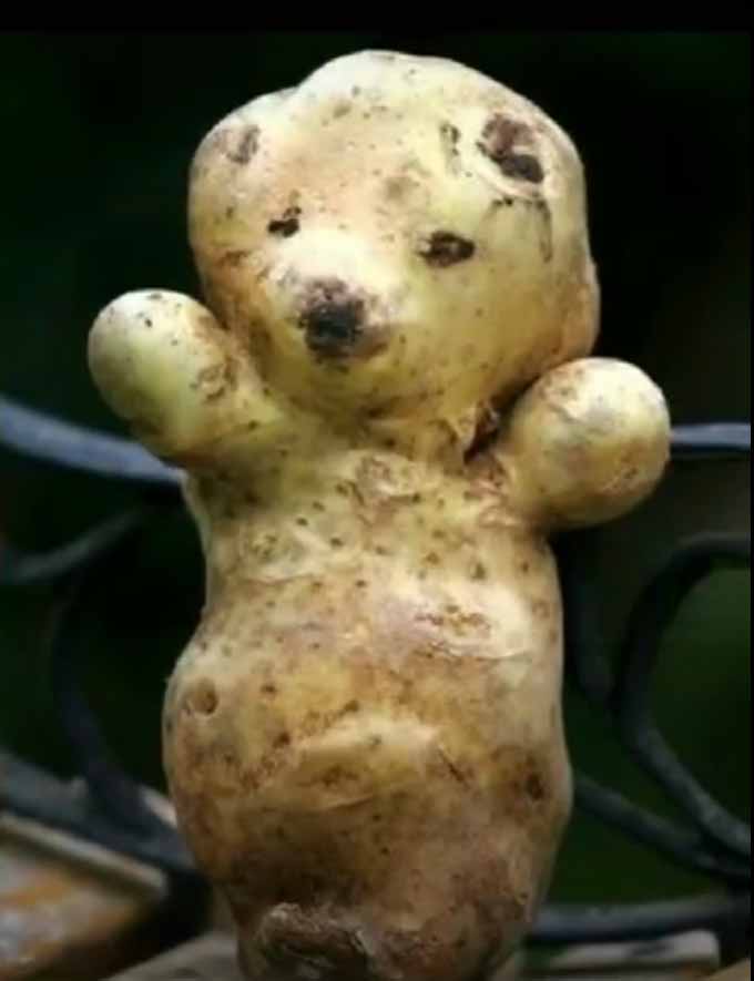 Funny Fruits And Vegetables