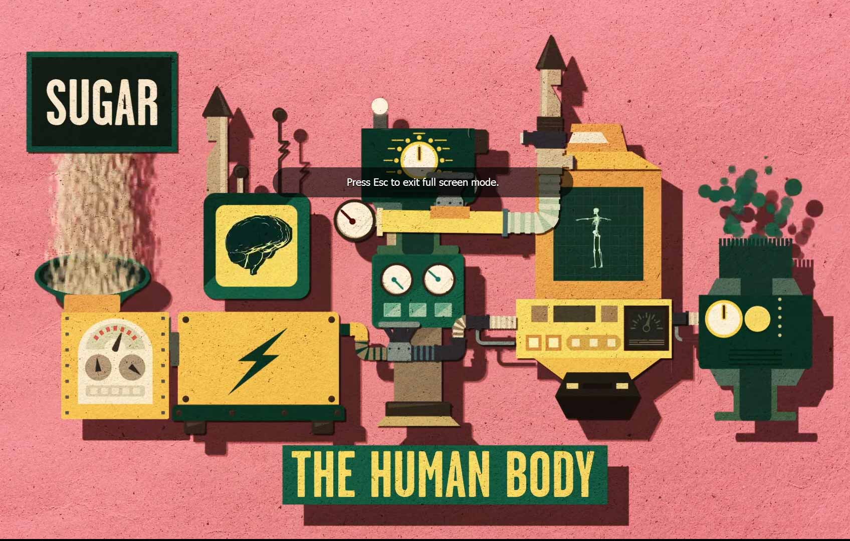 How Sugar Affects The Body