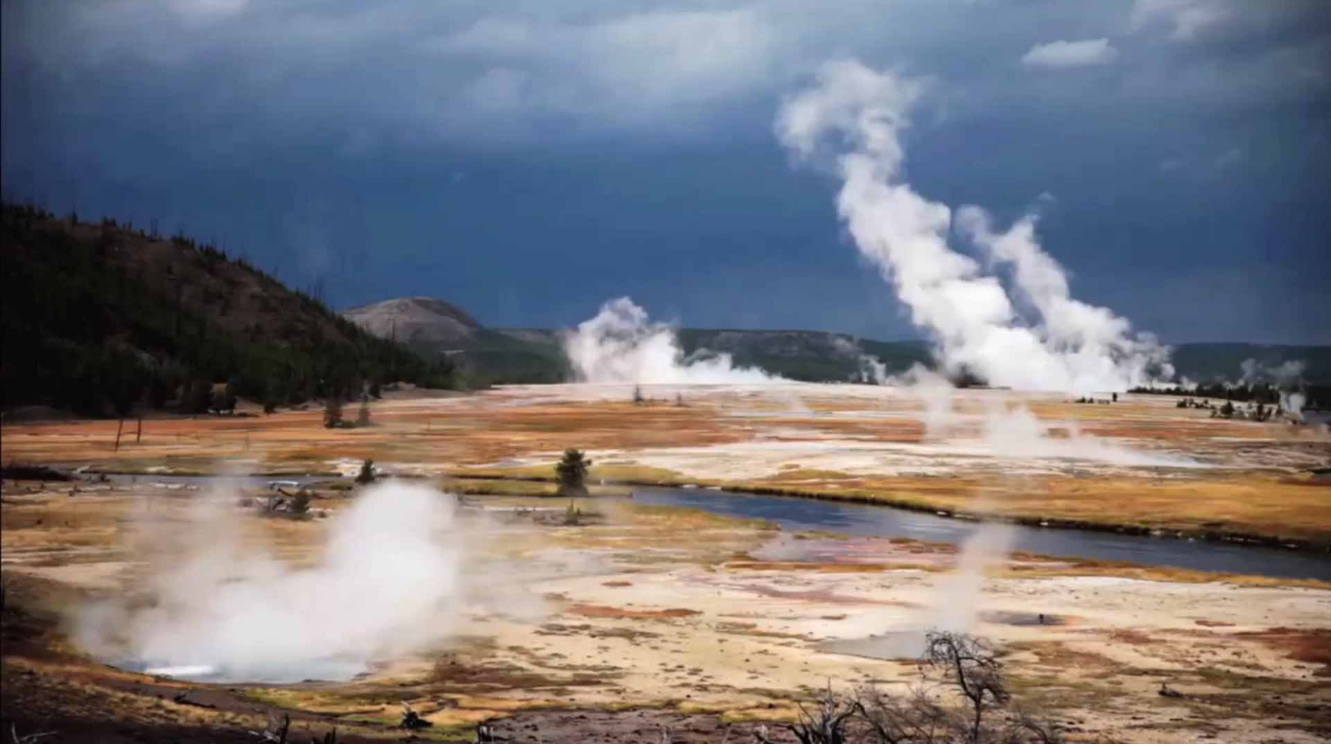 How Wolves Changed An Entire Ecosystem