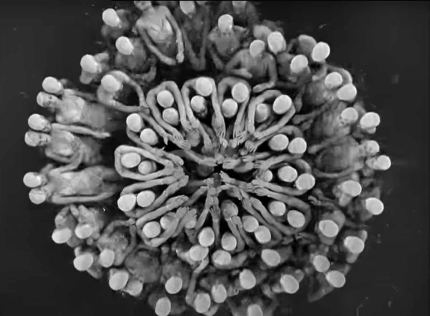 Human Waterfall - 'Footlight Parade' (1933)