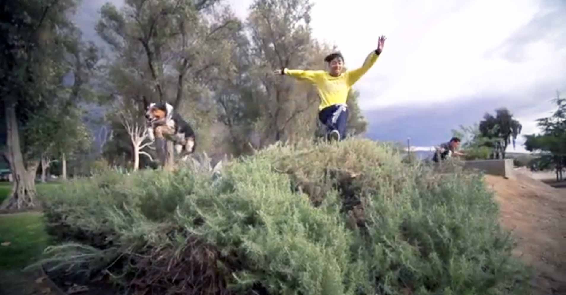 Jumpy The Dog And Alex The Parkour Runner