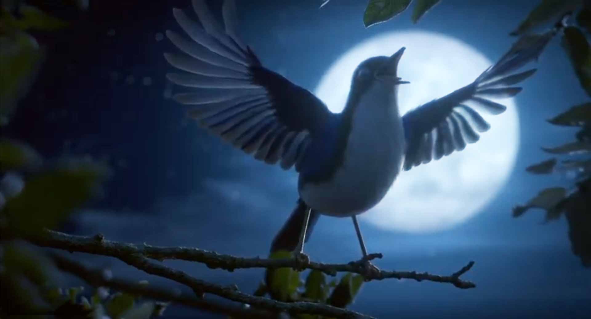 'Maestro' - Animated Animal Opera