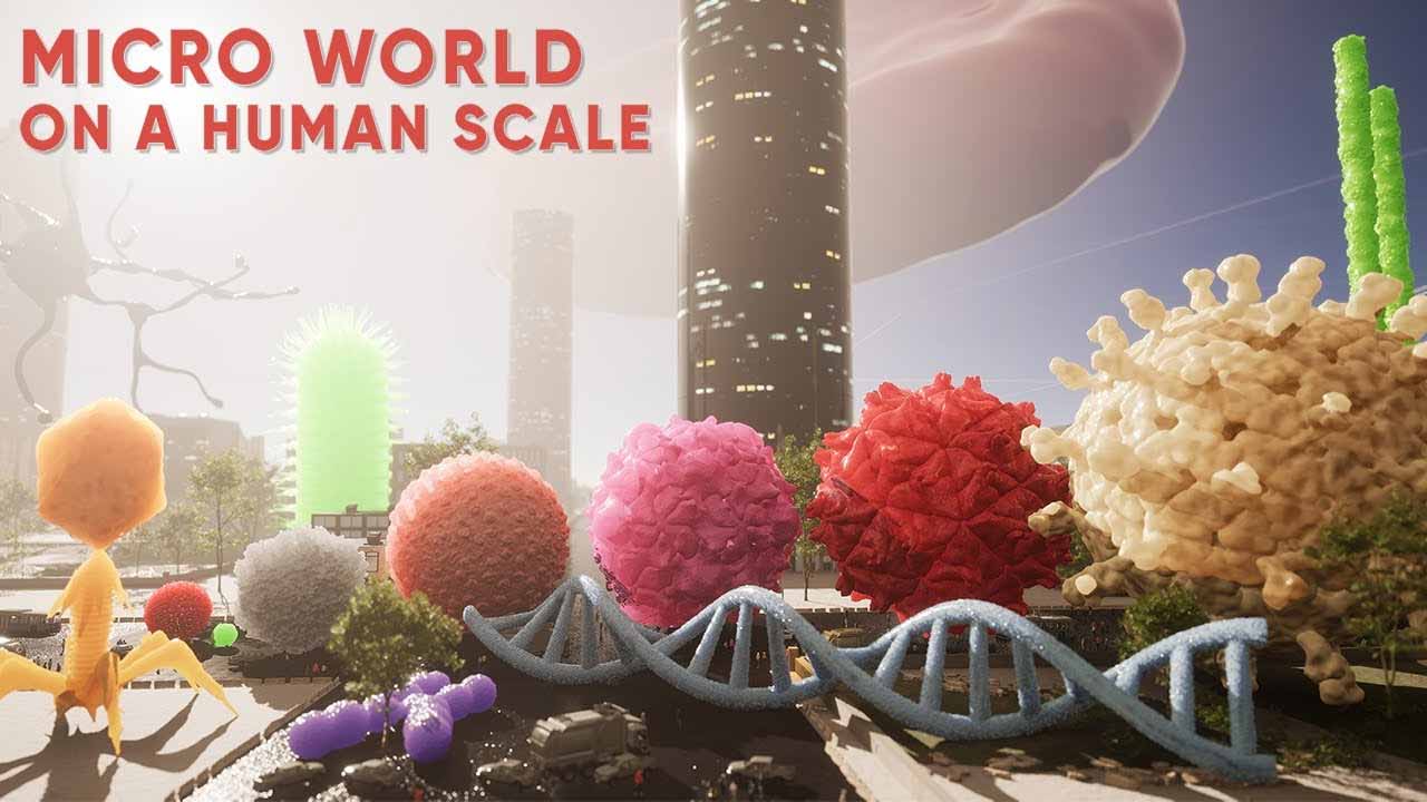 Microscopic World On A Human Scale