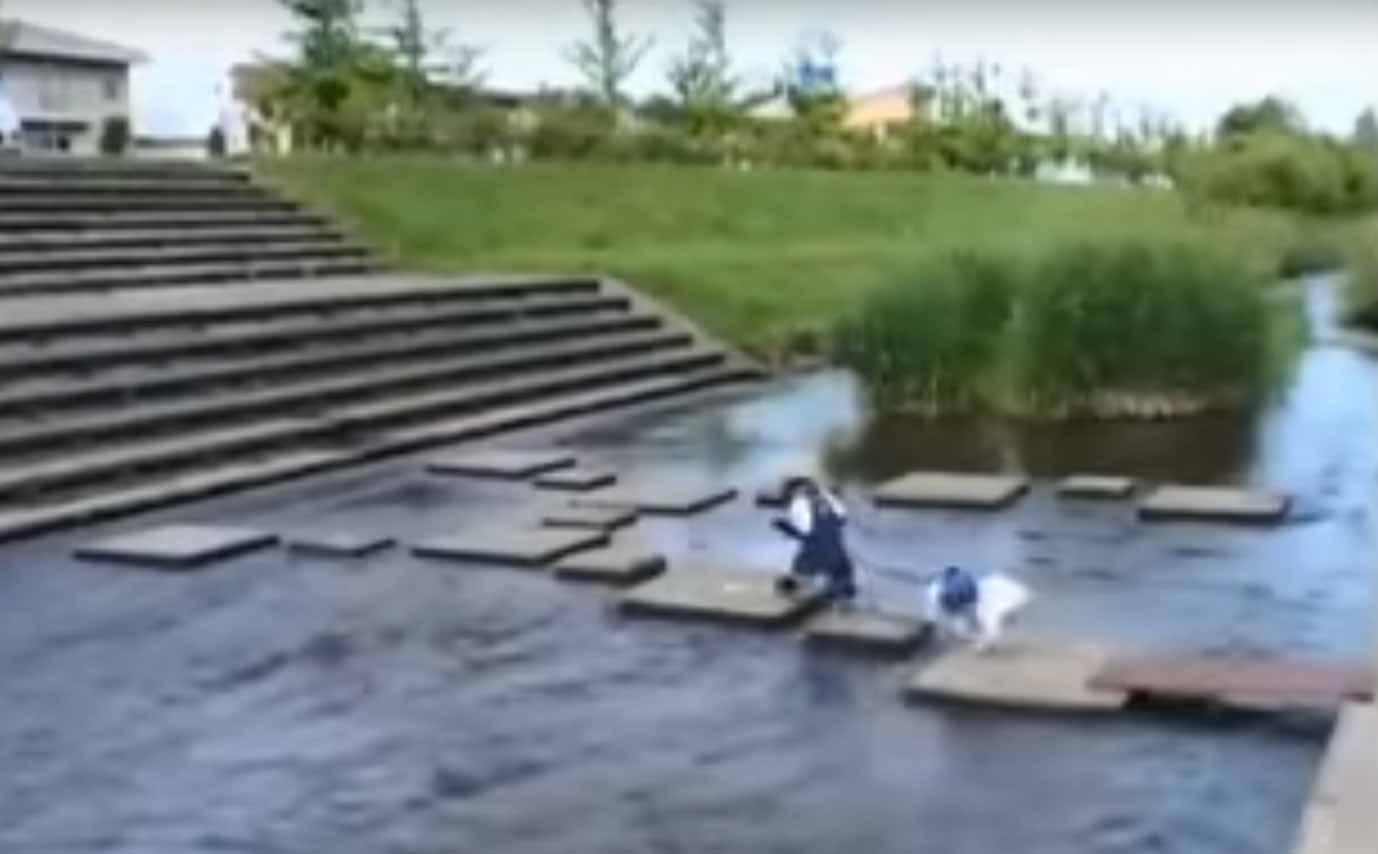 Monkey Helps Dog To Cross The River