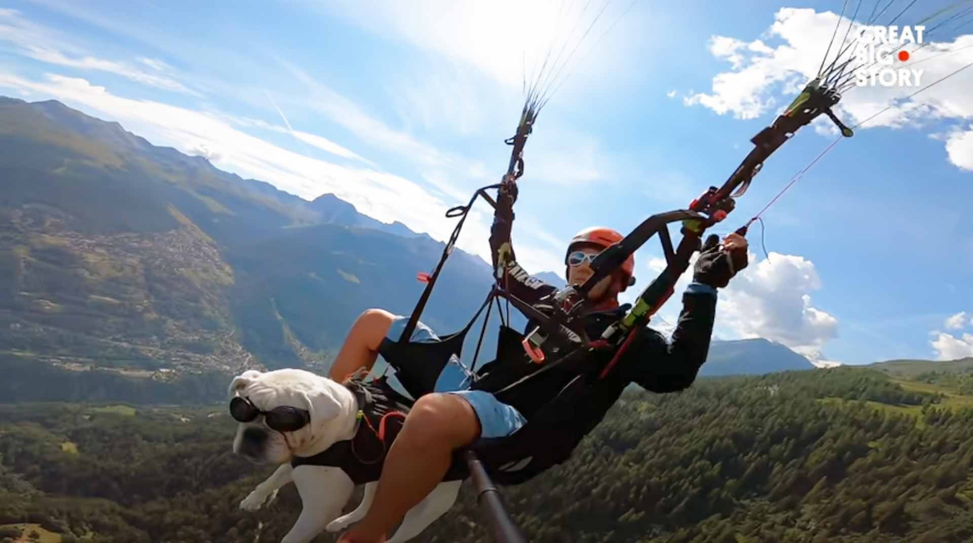 Paragliding To Work In The Swiss Alps