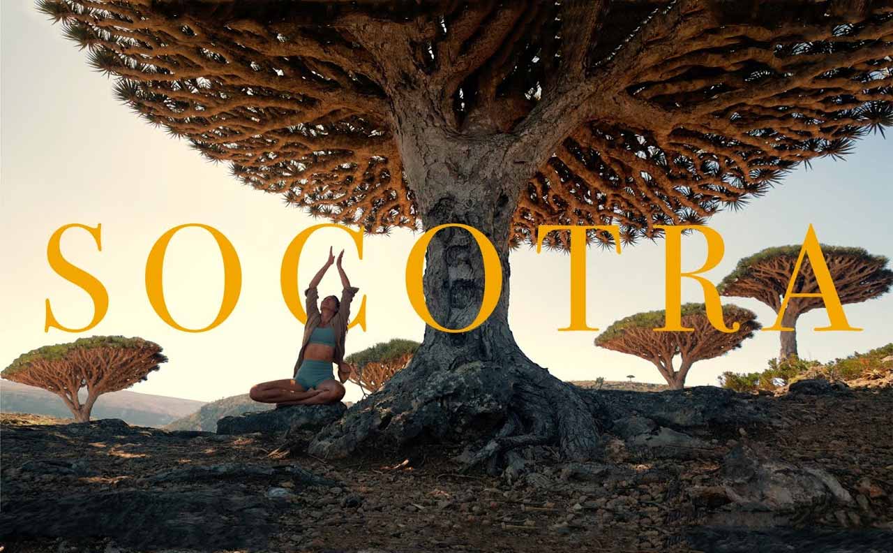 Socotra Island, Yemen - Step Into Another World