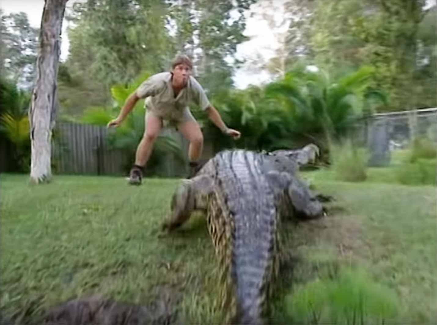 Steve Irwin Musical Tribute - Wildest Things In The World Steve Irwin Musical Tribute - Wildest Things In The World