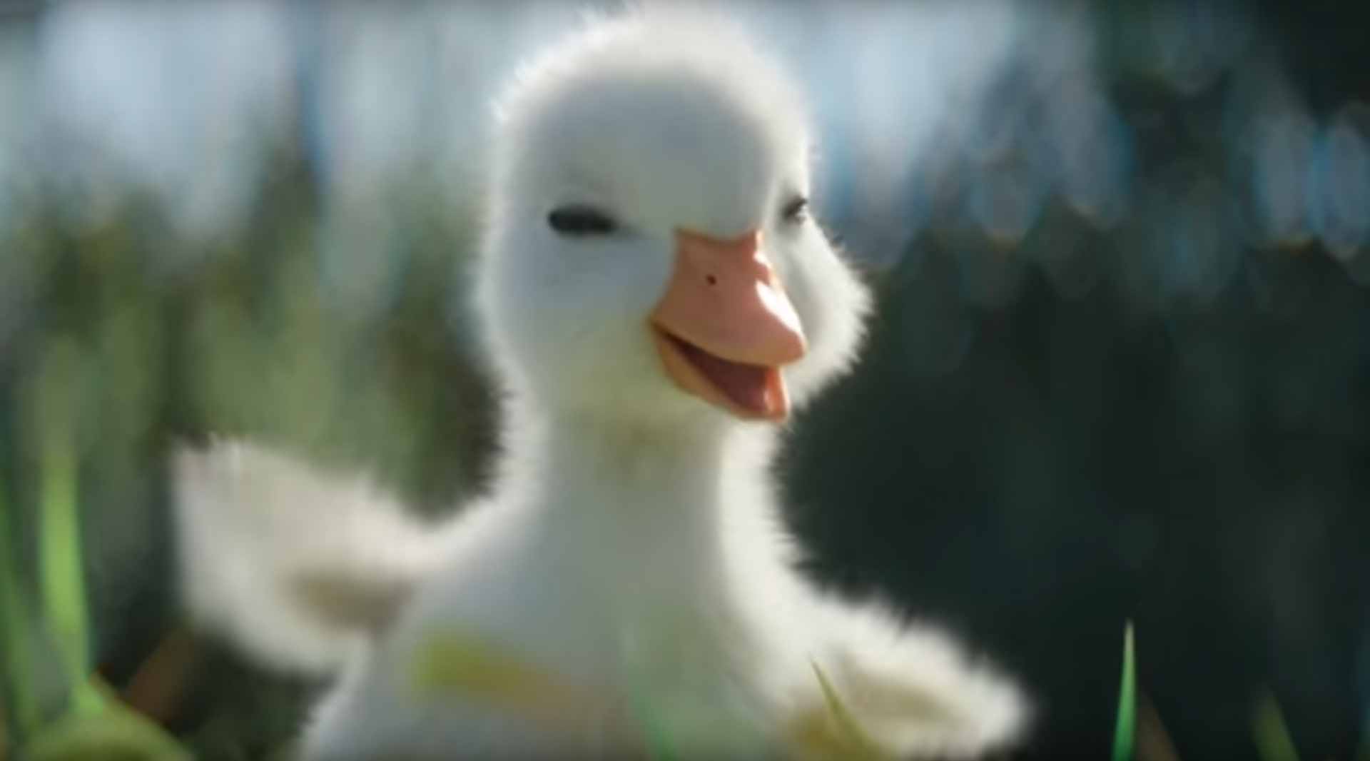 The Little Duck - Disneyland Paris