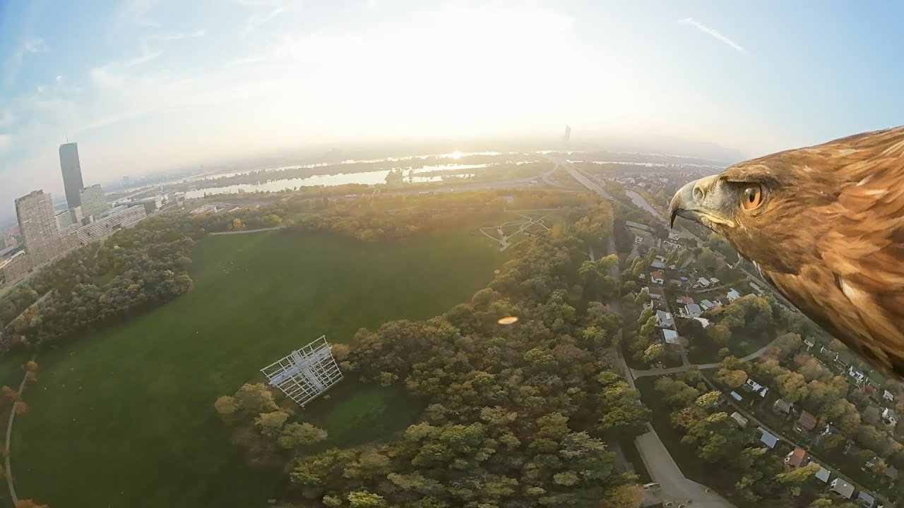 Vienna From An Eagle's Point Of View